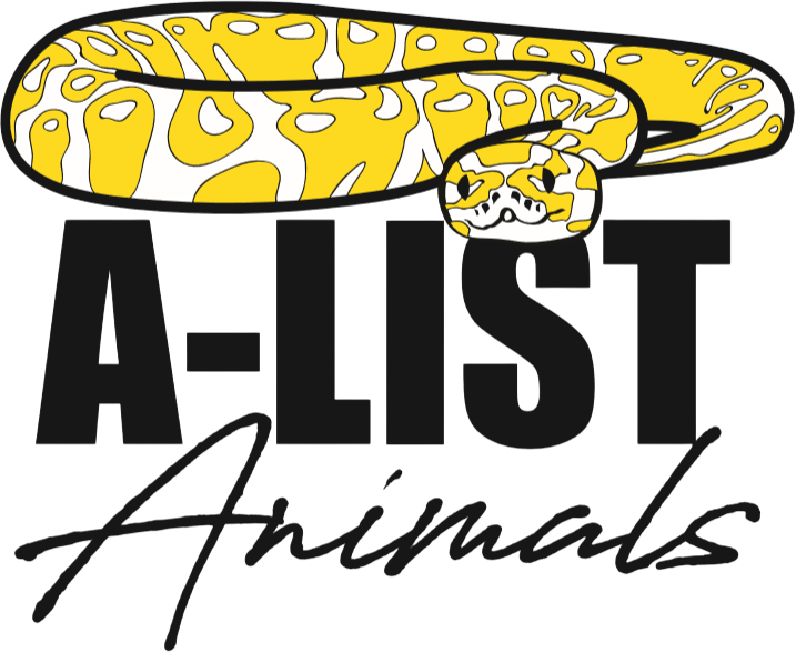 Home | A-List Animals